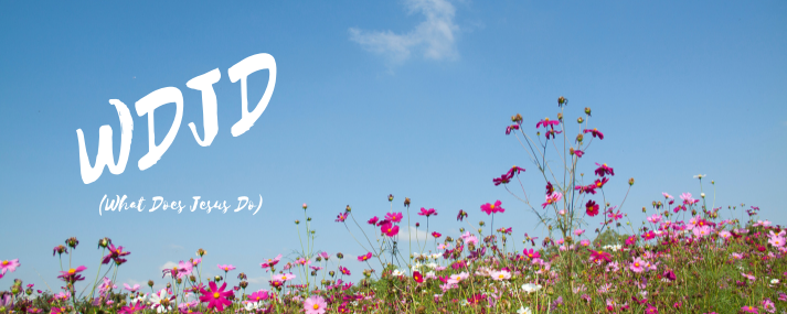 WDJD